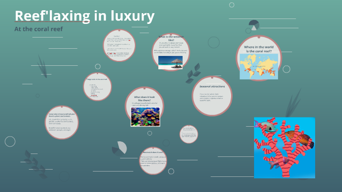 coral reef project by adam gutowski on Prezi