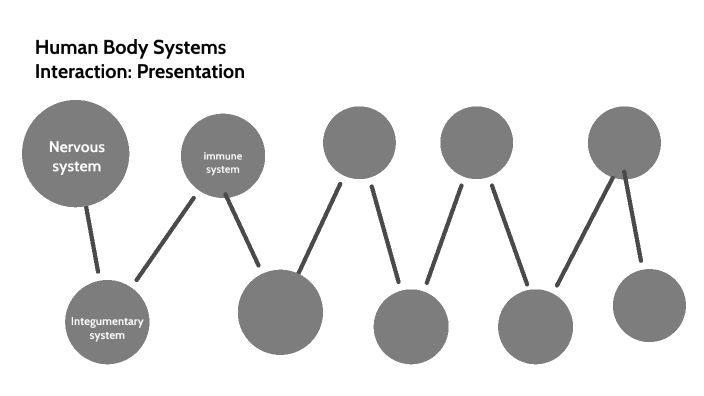Human Body Systems Interaction: Presentation by Yuritsy Alvarado Arzola ...