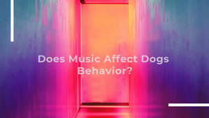 Science Fair- Does music affect dogs behavior? by Claire McGahee on ...