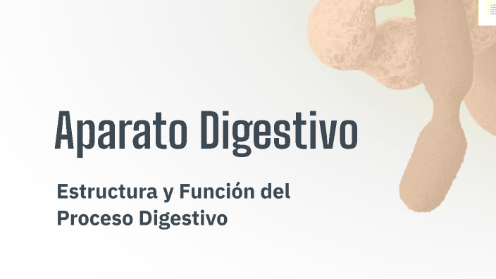 Aparato Digestivo by Yaneth Ruiz on Prezi