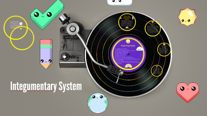 Integumentary System by Cielo Jimenez on Prezi
