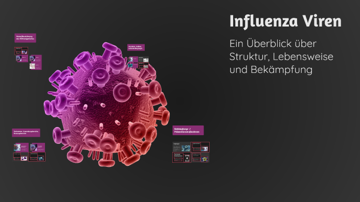 Influenza Viren by Laura Balasch on Prezi