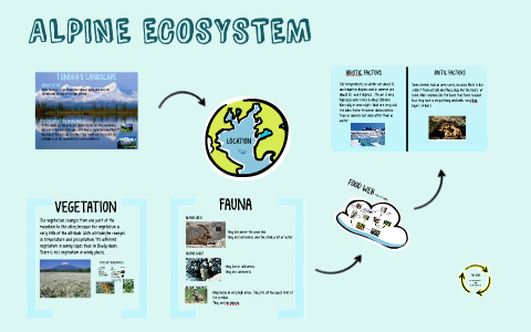 ALPINE ECOSYSTEM by Julia de Vicente Berlanga on Prezi