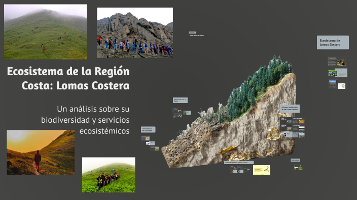Ecosistema de las Lomas Costera by Italo Sebastian Principe Cordova on ...