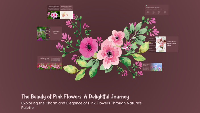 The Beauty of Pink Flowers: A Delightful Journey by Stella Daskalov on ...