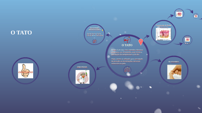 O tato é um dos cinco sentidos clássicos propostos por Arist by Ernesto ...
