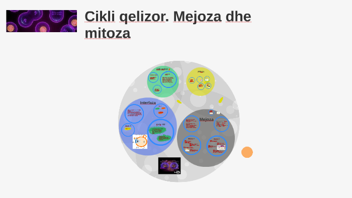 NDARJA E QELIZAVE by klea myzeqari on Prezi