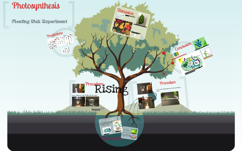 Photosynthesis Experiment by Biology 181