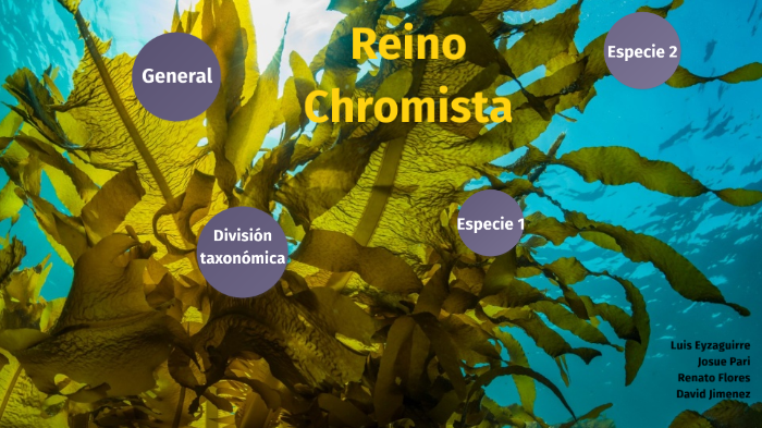 REINO CHROMISTA by LD EG on Prezi