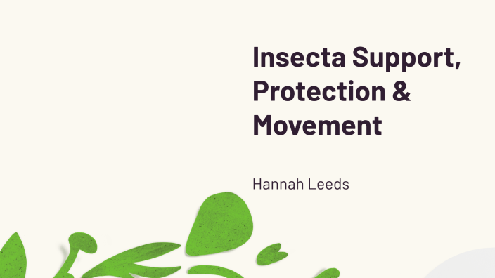 Insecta Support, Protection & Movement by Hannah Leeds on Prezi