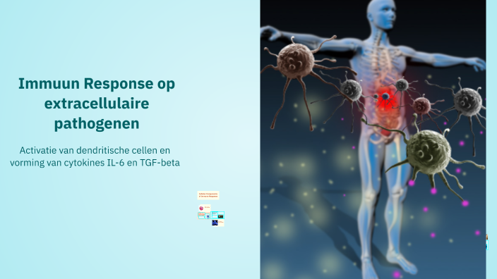 Immune Response to Extracellular Pathogens by marwa bouch on Prezi