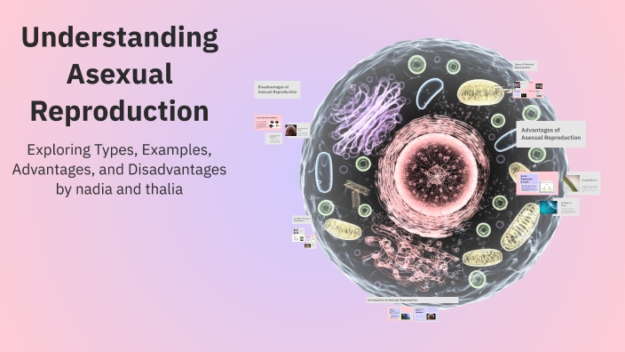 Understanding Asexual Reproduction by nadia jamoos on Prezi