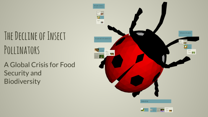 The Decline of Insect Pollinators by Sajal Sajjad on Prezi