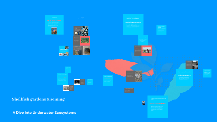 Shellfish gardens & more! by Adrian Skeek on Prezi