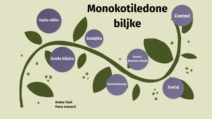 Monokotiledone biljke by andrea tasic on Prezi