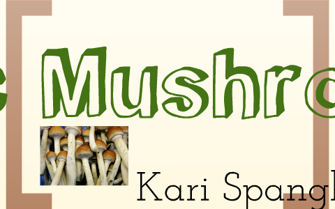Magic Mushrooms by Kari Spangler on Prezi