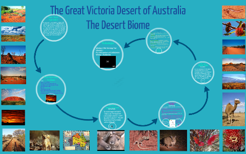 The Great Victoria Desert of Australia by Alaina Herman on Prezi