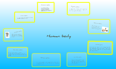 The horrible disgusting human body by Marvin Wong on Prezi