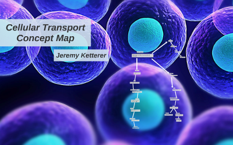 Cell Membrane Concept Map by Billy Snuffaluffagus on Prezi
