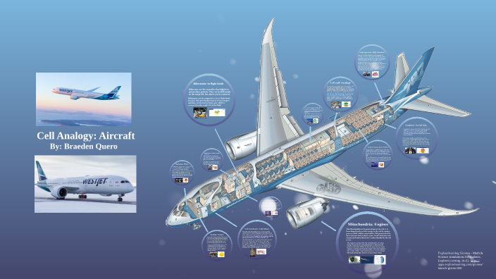 Aircraft Cell Analogy Science. by BQ - 08MK 802893 David Leeder MS on Prezi