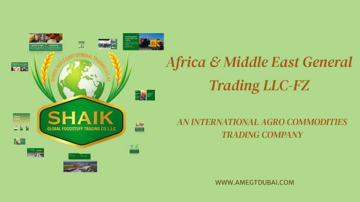 Africa & Middle East Trading Overview by nada abdi on Prezi