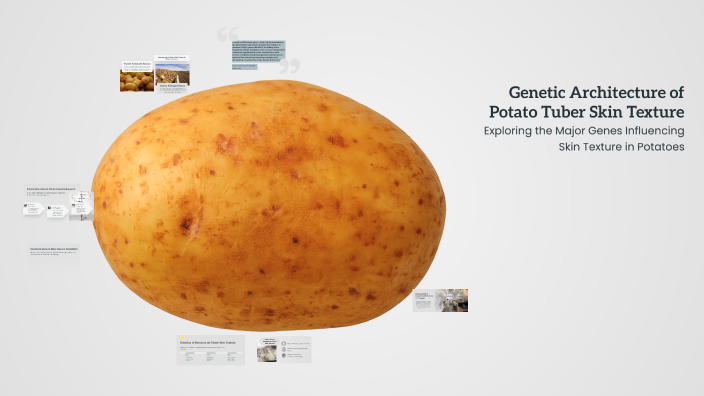 Genetic Architecture of Potato Tuber Skin Texture by Talip Kefkir on Prezi