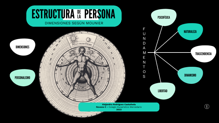 Estructura de la persona by Alejandra Rodríguez on Prezi