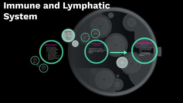 Immune and Lymphatic System by Kaylee Shampine on Prezi