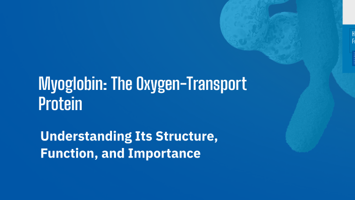 Myoglobin: The Oxygen-Transport Protein by Rita McQuillan on Prezi