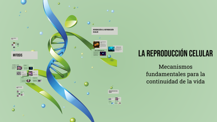 La Reproducción Celular by Ismael Caro on Prezi