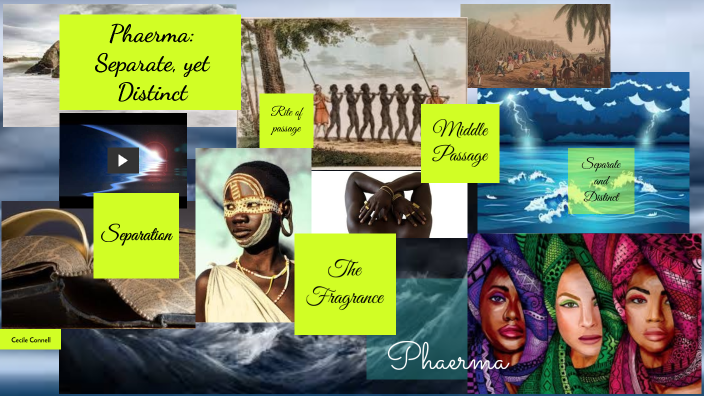 Connell Mood board & Brief by Cecile Connell on Prezi