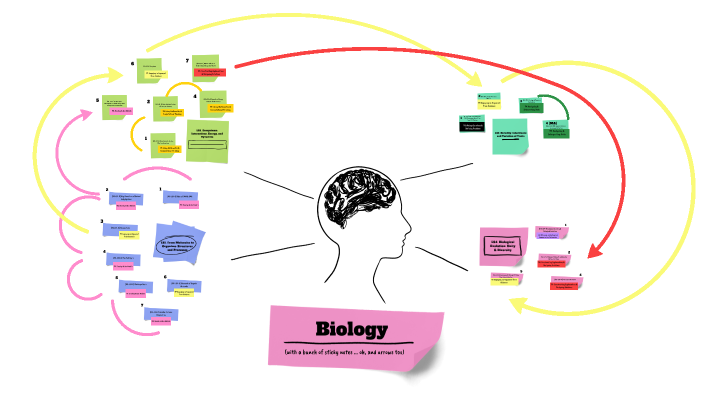 LS1. From Molecules to Organims: Structures and Processes by mina guity ...