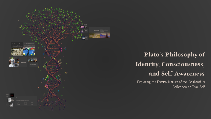 Plato's Philosophy of Identity, Consciousness, and Self-Awareness by ...