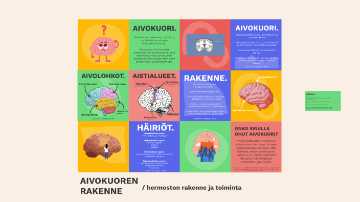 AIVOKUOREN RAKENNE by Venla-Karoliina Alatalo on Prezi