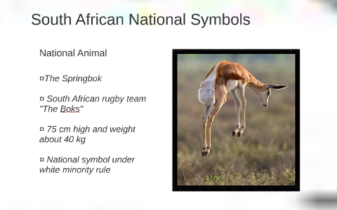 South African National Symbols by Heidi Pedersen on Prezi