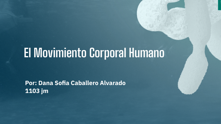 El Movimiento Corporal Humano by Sofia Caballero on Prezi