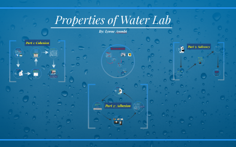 Properties of Water Lab by Lynne Ayoubi on Prezi