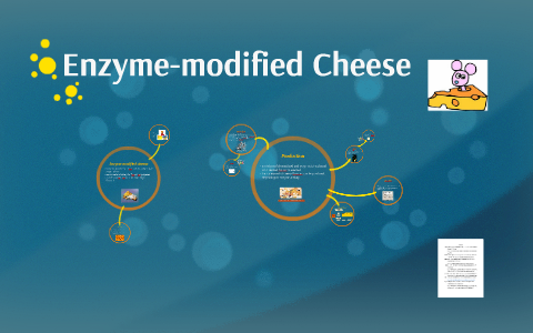 Enzyme-modified Cheese by Laura Tiuso on Prezi