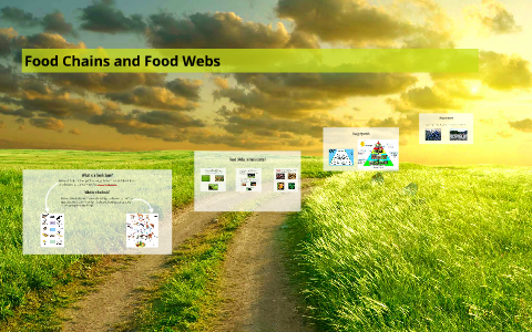 Food Chains and Food Webs by Stephen Longnecker on Prezi
