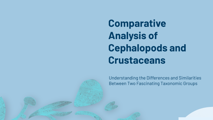 Comparative Analysis of Cephalopods and Crustaceans by Charles Mugisha on Prezi