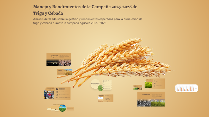 Manejo y Rendimientos de la Campaña 2025-2026 de Trigo y Cebada by ...