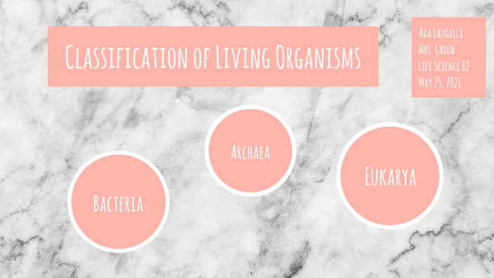 Ada Classification Project by Ada Laugelli on Prezi