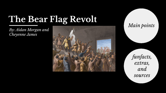 Bear Flag Revolt Presentation by Aidan Morgan