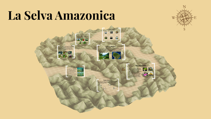 La Selva Amazonica by Brayan Daniel Vasquez Pinzon on Prezi