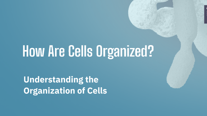 How Are Cells Organized? by Karen Goode on Prezi