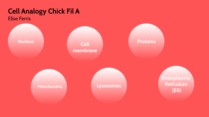 Cell analogy Chick Fil A by Elise Ferris on Prezi