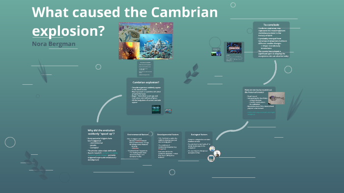 What caused the Cambrian explosion? by Nora Bergman on Prezi