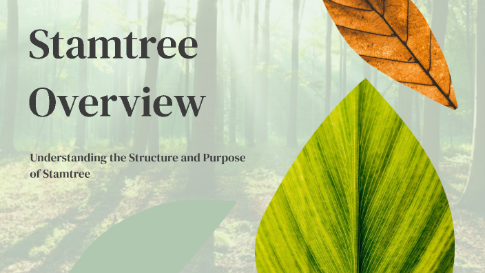 Stamtree: Understanding the Roots of Family Trees by h jansen on Prezi