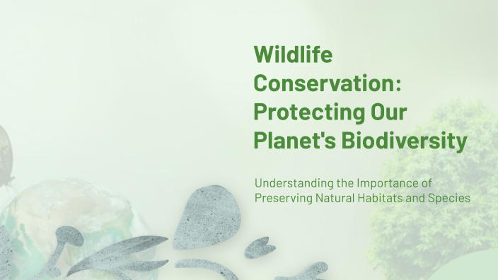Wildlife Conservation: Protecting Our Planet's Biodiversity by Connie ...