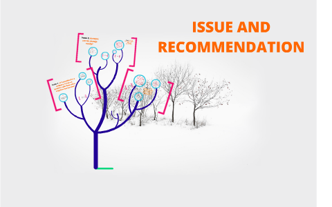ISSUE AND RECOMMENDATION by